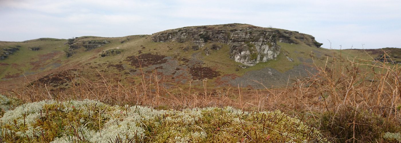 Ireland Moor Archives - Powys Moorland Partnership