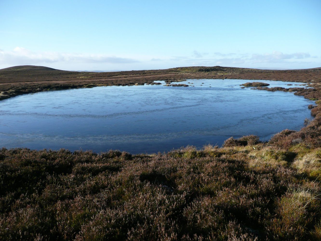 What Does A Sustainably Managed Moor Look Like Powys Moorland What Does A Sustainably Managed Moor Look Like Powys Moorland